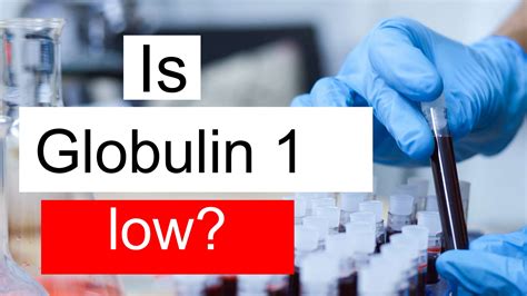 Is Globulin Low Normal Or Dangerous What Does Globulin Level Mean