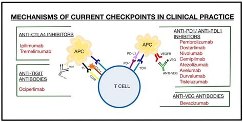 figure 1 from current methods and advances in the immunotherapy