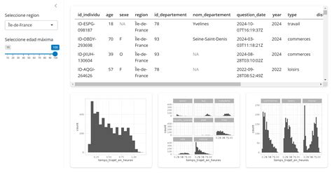 Optimizing Performance In Shiny