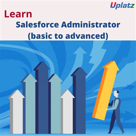 Salesforce Administrator Basic To Advanced Course At Rs 700 Hour In Bilaspur Id 23168600730