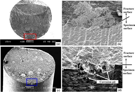 Sem Fractographs Of The Coated Specimens A Overview Of The Fracture