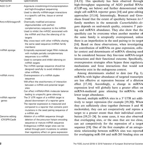 Methods Used To Identify And Validate Mirna Targets Download