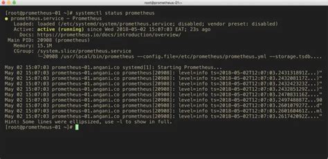 Install Prometheus Server On CentOS RHEL ComputingForGeeks
