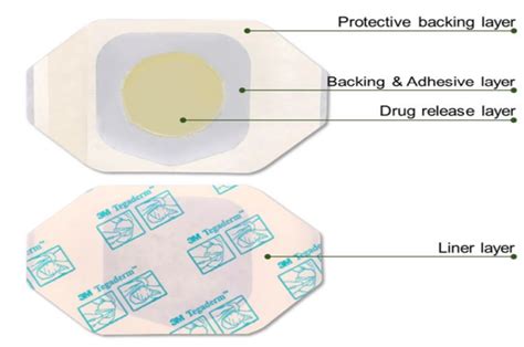 Technology Enginelife