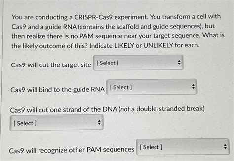 Solved You Are Conducting A CRISPR Cas Experiment You Chegg