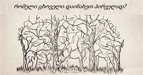 პირველი ცხოველი რომელსაც ნახატზე დაინახავთ თქვენს თავს გაგვაცნობს