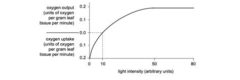 The Following Graph Shows The Relationship Between Light Int Quizlet