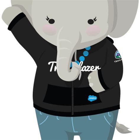 Trailblazer Community Salesforce Architect Group Munich Germany