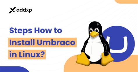 steps how to install umbraco in linux