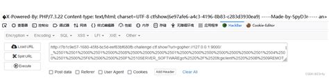 【web】ctfshow 常用姿势刷题记录 全 ctfshow全 csdn博客