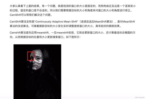 opencv利用camshift实现目标追踪 摄像头自动跟踪算法 csdn博客