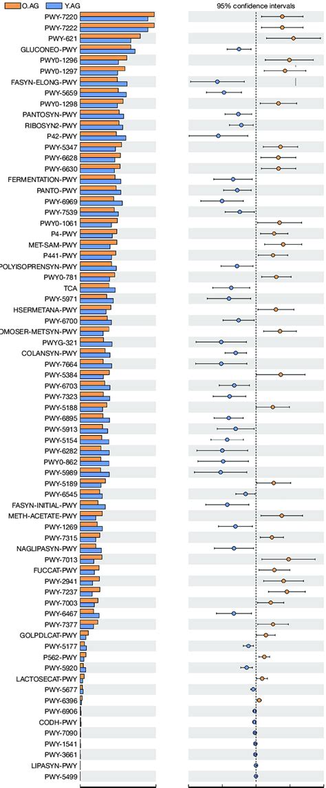 Functional Alteration Caused By Gut Microbiota Change Through PICRUST Download Scientific