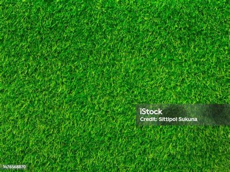 녹색 잔디 텍스처 배경 잔디 정원 개념 녹색 배경 축구 피치 잔디 골프 녹색 잔디 패턴 질감 배경을 만들기 위해 사용 0명에 대한 스톡 사진 및 기타 이미지 Istock