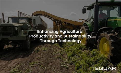 Enhancing Agricultural Productivity And Sustainability Through Tech
