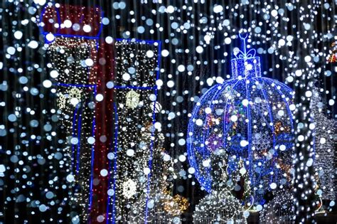 Главная Елка страны уже зажглась — Афиша Ташкента