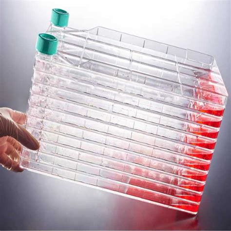 细胞大规模培养 细胞共培养 第2页 大山谷图库