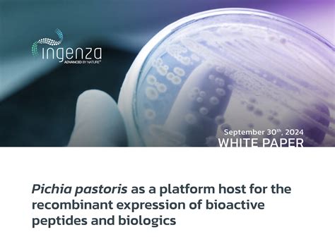 White Paper Pichia Pastoris As A Platform Host For The Recombinant Expression Of Bioactive