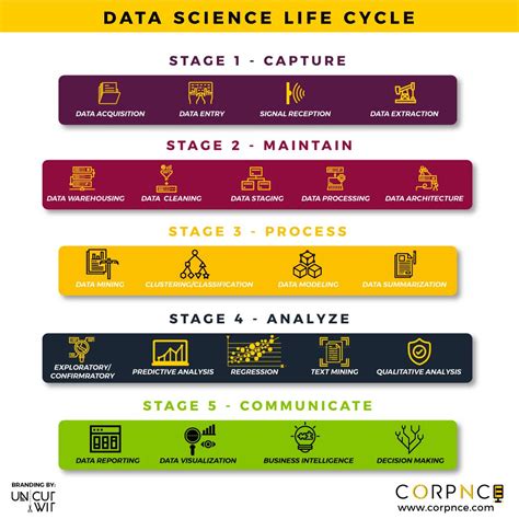 Data Science Life Cycle In Python Beata Whittaker