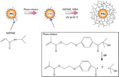 schematic representation of the preparation of pst nipam core shell
