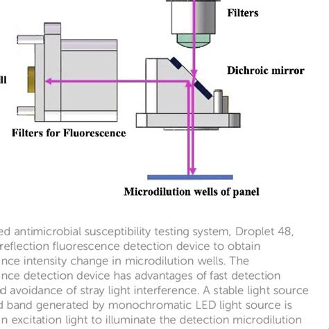 Detection Principle Of Automated Antimicrobial Susceptibility Testing Download Scientific