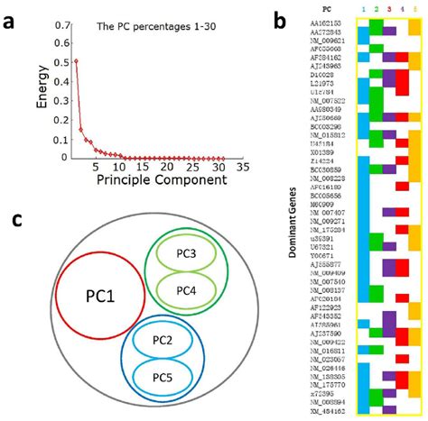 Principal Component Analysis Of The Gene Expression Profiles A The