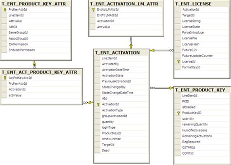 Schema Activation Data Model