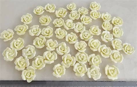 스톤장미 오로라레몬 50개 일괄 세컨웨어헬로마켓