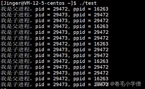 Linux之创建进程、查看进程、进程的状态以及进程的优先级 腾讯云开发者社区 腾讯云