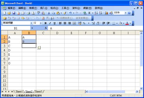 The Chestnut Tree Café 用excel自動填入a B C