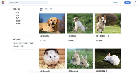 基于javaspringboot的宠物商店、宠物管理系统设计与实现基于java的宠物店在线运营 Csdn博客