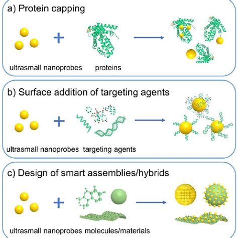 Strategies To Improve The In Vivo Tumor Targeting Efficacy Of Download Scientific Diagram