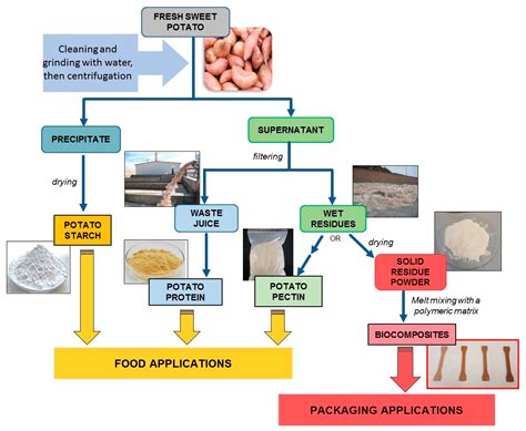 Integrated Efforts For The Valorization Of Sweet Potato By Products Within A Circular Economy