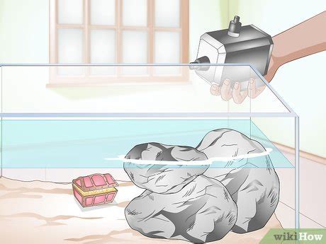 Ways To Clean A Turtle Tank WikiHow