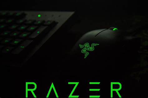 Razer Mouse Driver Proper Installation Guide On Windows