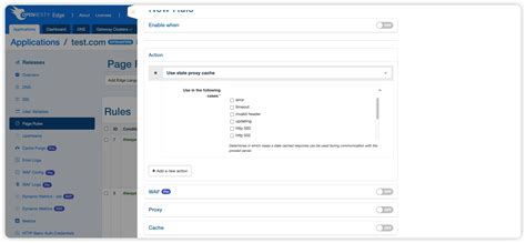 代理缓存动作 openresty inc 产品文档
