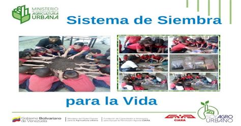 Sistema De Siembra · La Siembra El Proceso Que Consiste En Plantar