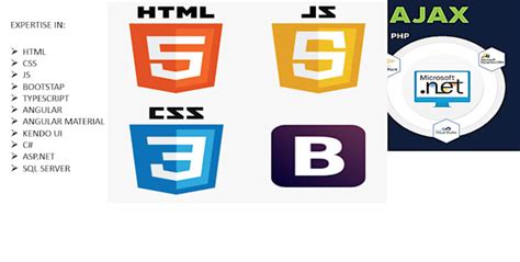 Develop Website Using Html Css Js Angular By Jahanzaibijaz Fiverr