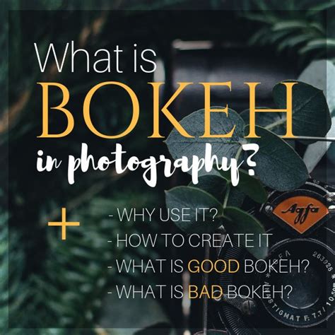 What is Bokeh in Photography? | What is bokeh, Bokeh photography, Bokeh