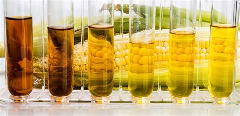 Focus On Renewable Energy Icgeb