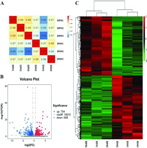 preliminary analysis of the gene expression a heat map of gene