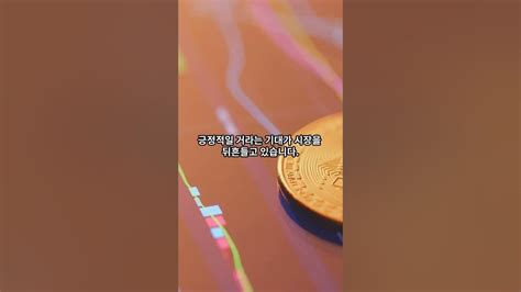 트럼프 당선 비트코인 9만 달러 간다 4 급등의 이유는 Youtube