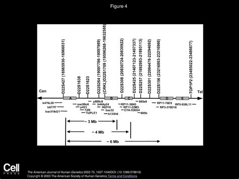Microduplication 22q112 An Emerging Syndrome Clinical Cytogenetic And Molecular Analysis Of