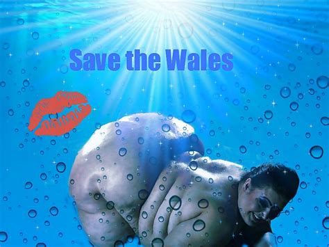 Bbw Creativ Box Porn Pictures Xxx Photos Sex Images 1902871 Pictoa