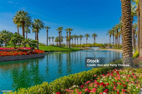 팜 스프링스 캘리포니아에서 녹색 벨트와 연못 을 줄 팜 나무 팜 데저트에 대한 스톡 사진 및 기타 이미지 팜 데저트 팜 스프링스 캘리포니아 0명 Istock