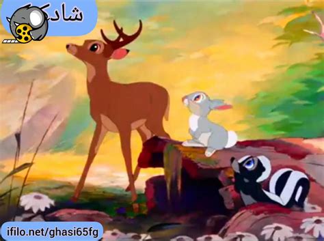 کارتون زیبای بامبیکارتون جدیدبرنامه کودکانیمیشن جدیدکارتون زیبا فیلو