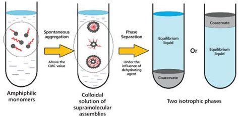 Surfactant Mediated Extractions Part Ii Coacervative Extraction And Related Techniques