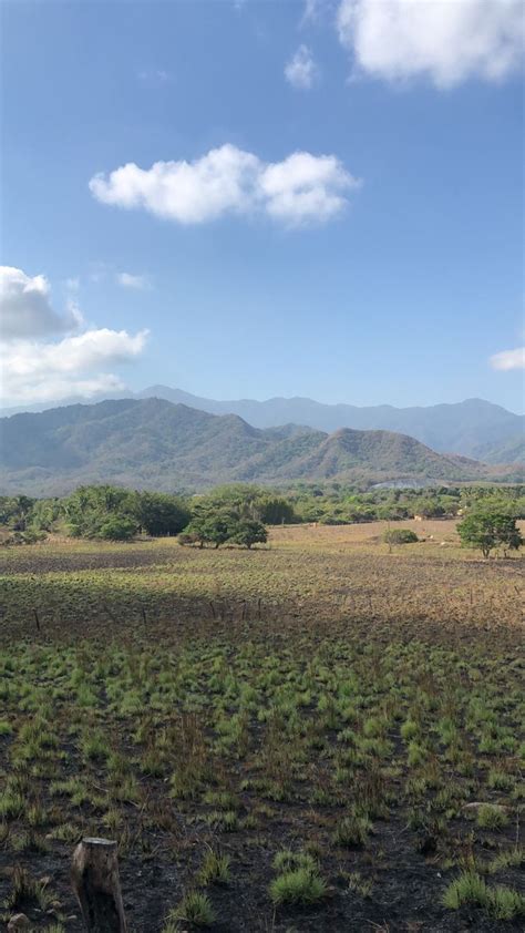 Пин от пользователя Staz на доске Yo