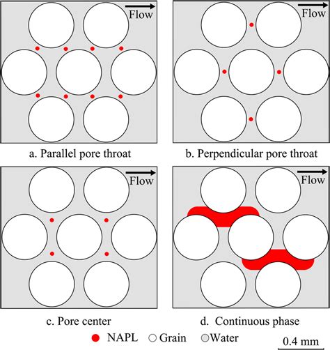Sketch Of Possible Distribution Morphologies For Residual Non‐aqueous Download Scientific