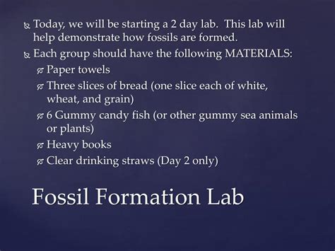 PPT Chapter Fossils PowerPoint Presentation Free Download ID