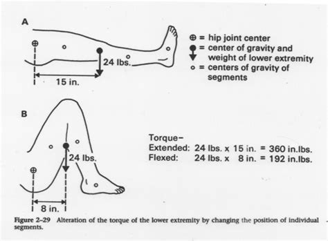 Biomechanics Week 2 Torque Flashcards Quizlet